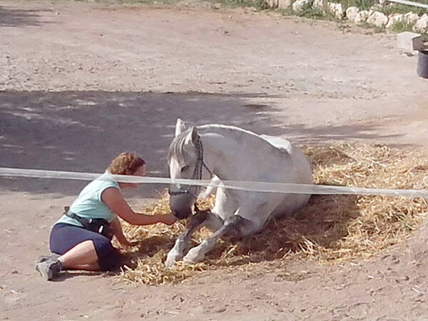 Claire Waldron | Spain - Connection Training