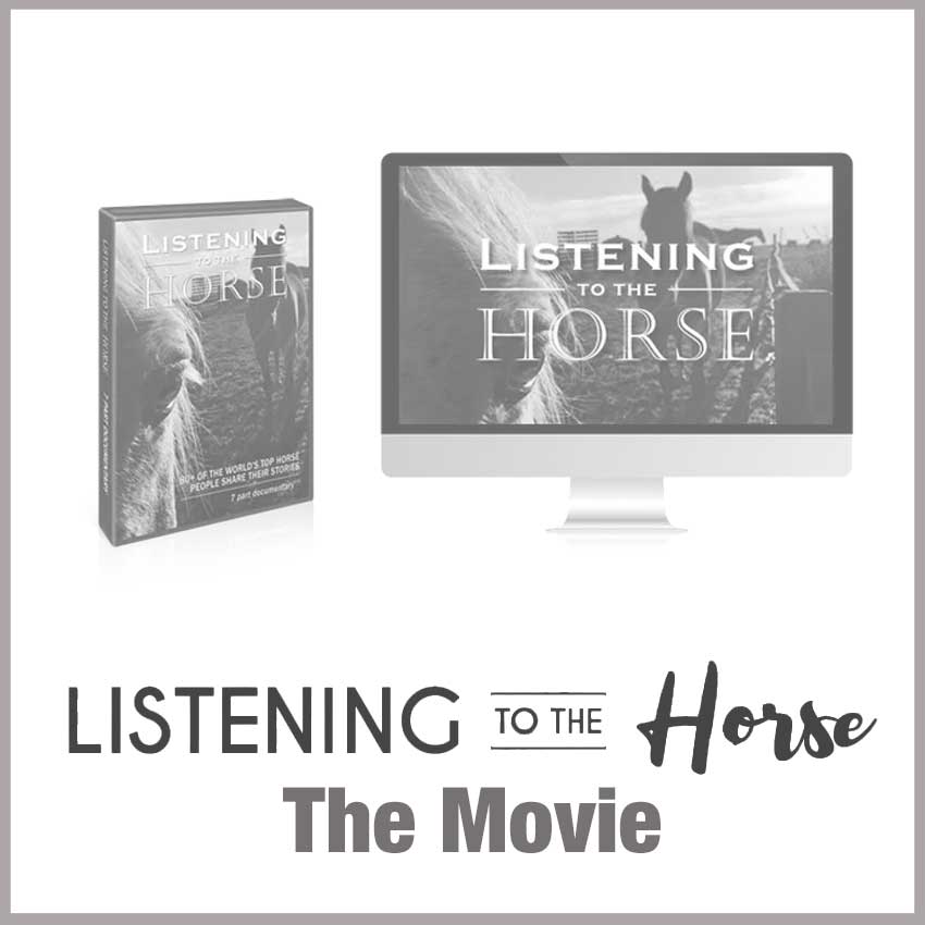 About Connection Training - Connection Training