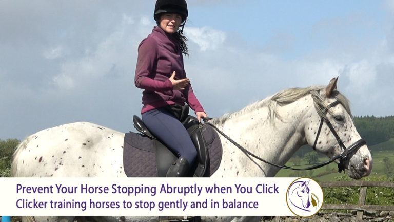 Prevent Your Horse Stopping Abruptly When You Click - Connection Training