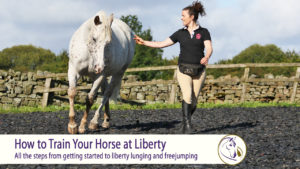 How to Train Your Horse at Liberty | From getting started to lunging ...