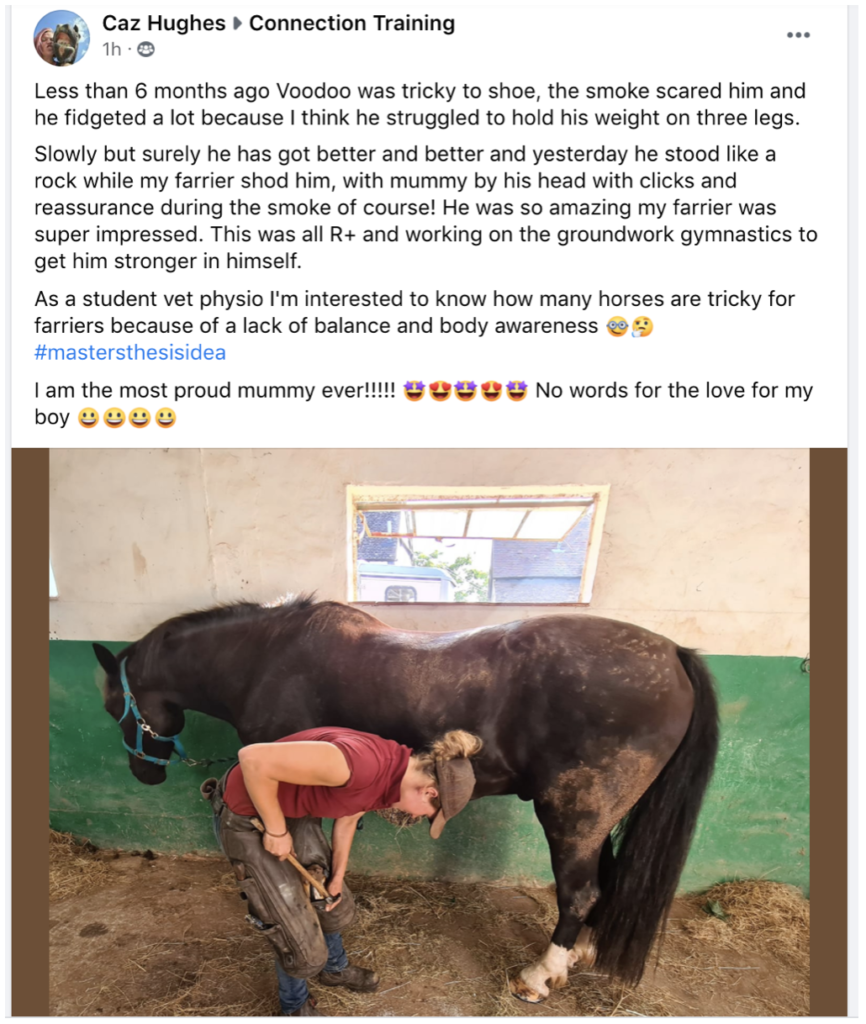 Positive Horse Training Study Groups 2021 (get to the next level with your horse) - Connection ...