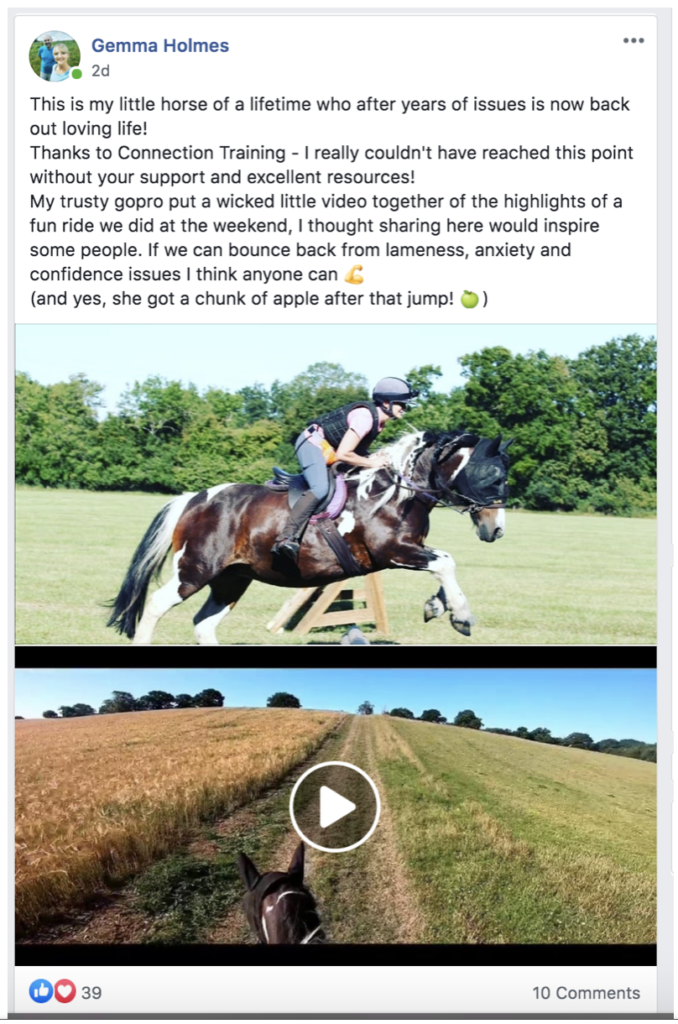 Positive Horse Training Study Groups 2021 (get to the next level with ...