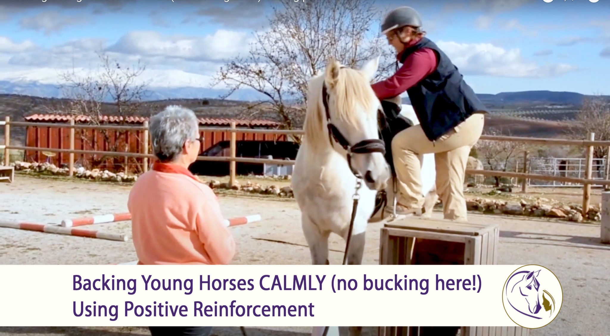 Backing Young Horses CALMLY (no bucking here!) - Connection Training