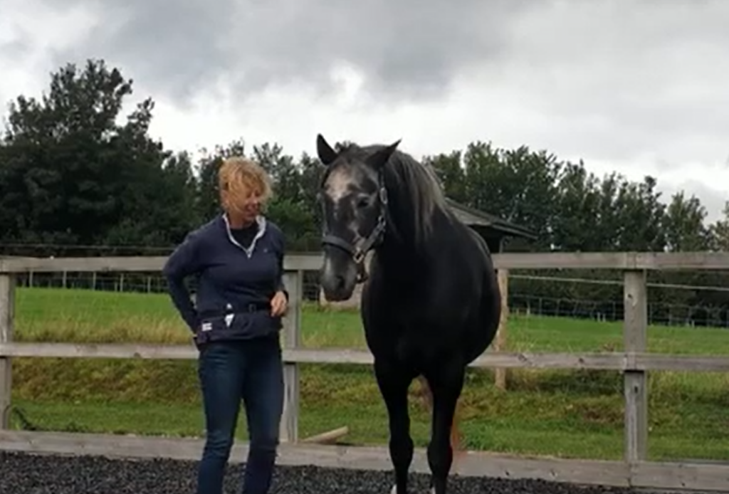 Maria Lucy - Connection Training