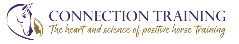 About Connection Training - Connection Training