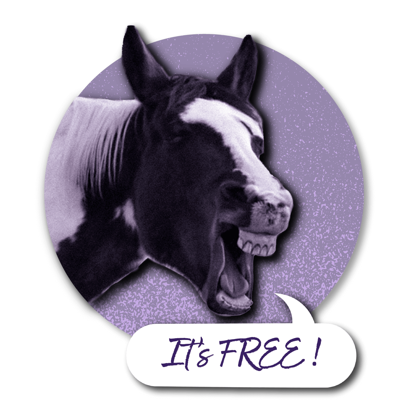 Connection Training | Positive Horse Training & Horsemanship