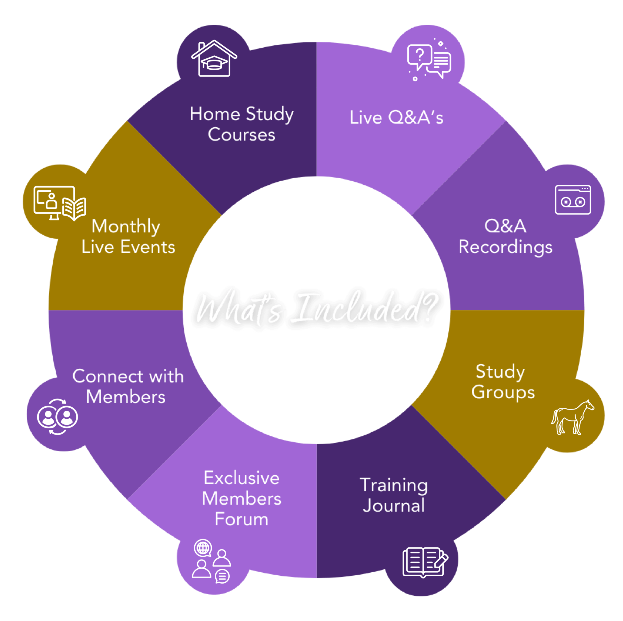 Learn CT Online - Connection Training