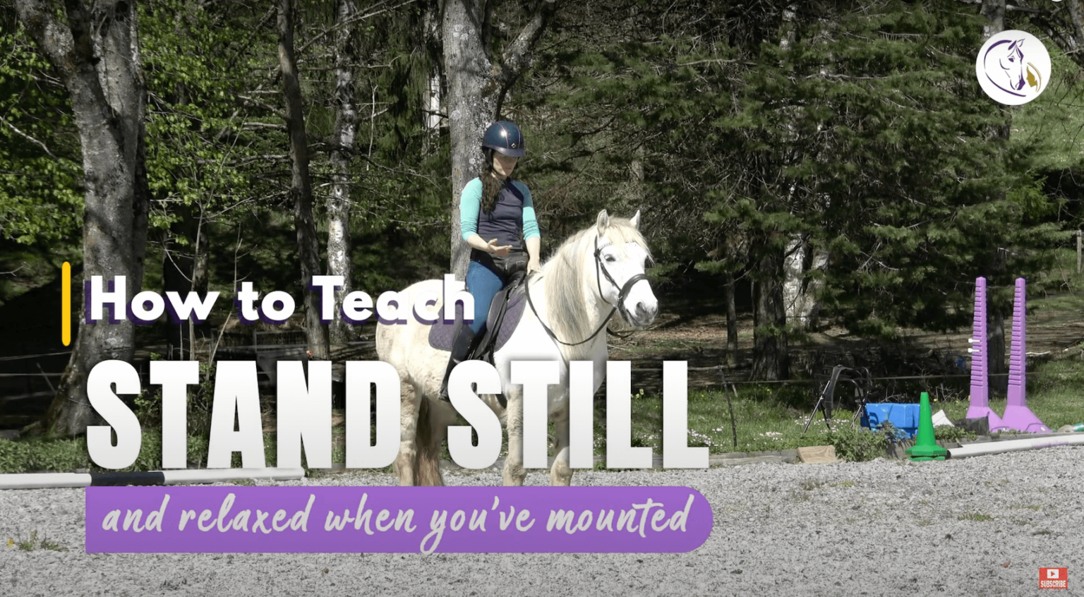 Teach Your Horse to Stand Still and Relaxed Once You've Mounted - Connection Training