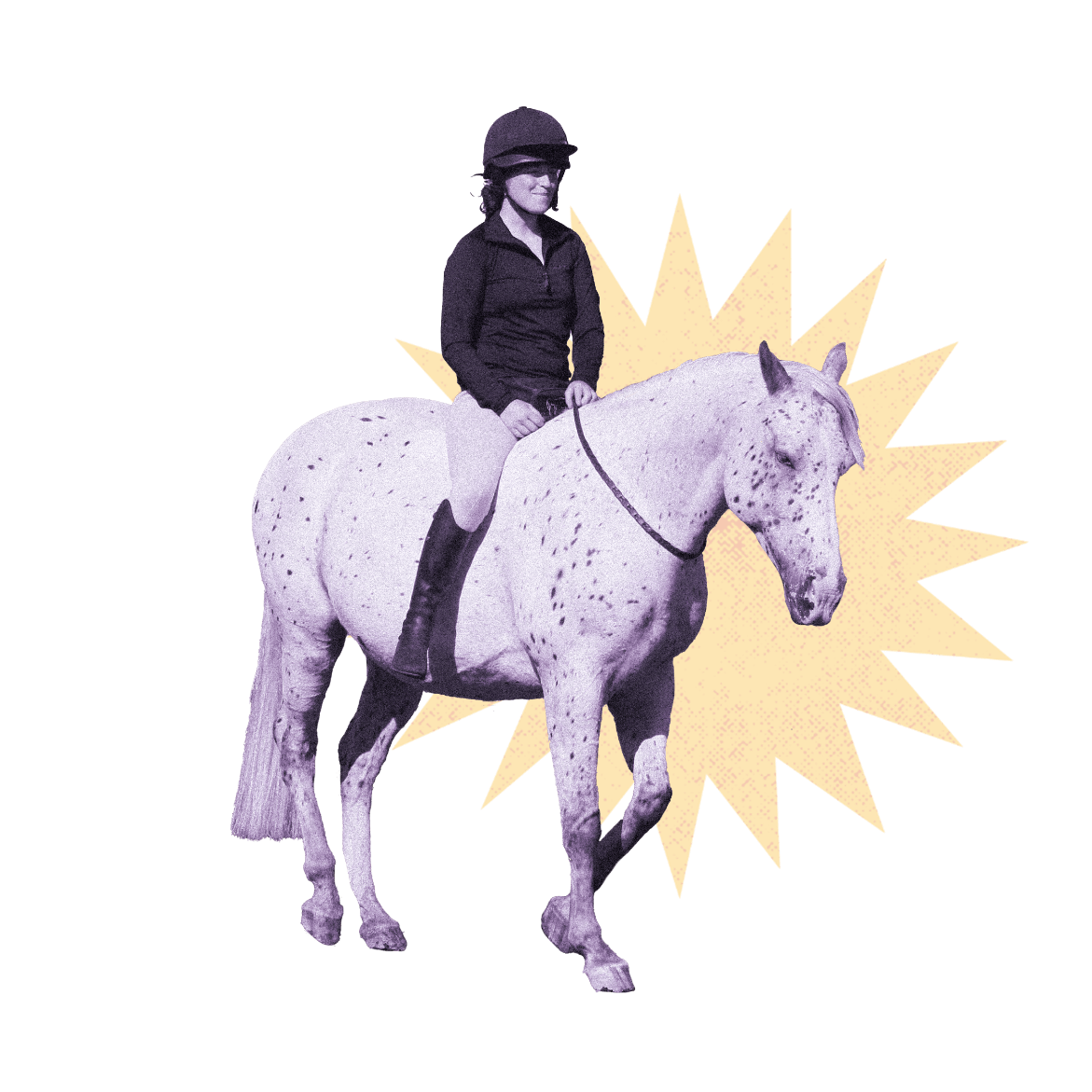 Riding Workshop - Connection Training